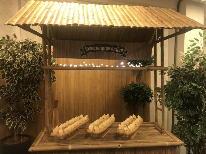 Insectenbar – Insectenproeverij.nl